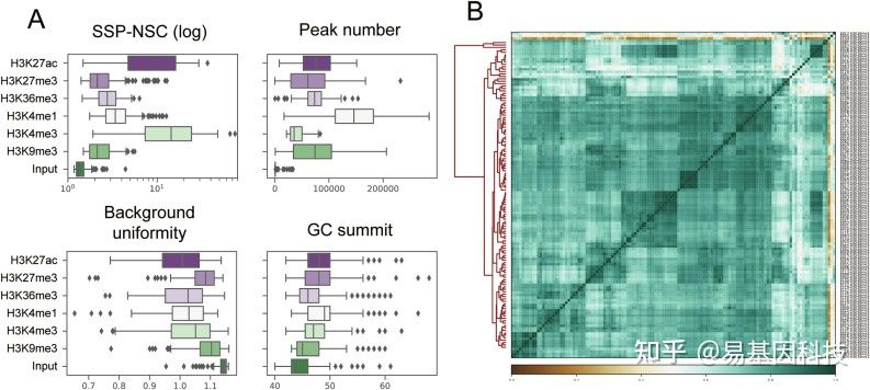 易基因｜ChIP-seq分析方法：实用的工作流程和高级应用_chip seq motif-CSDN博客