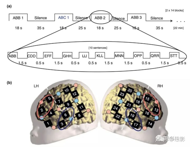 fNIRS在发育科学中的应用_fnirs覆盖脑区标准-CSDN博客