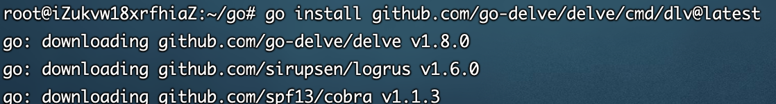 Goland远程开发调试_failed to prepare environment-CSDN博客