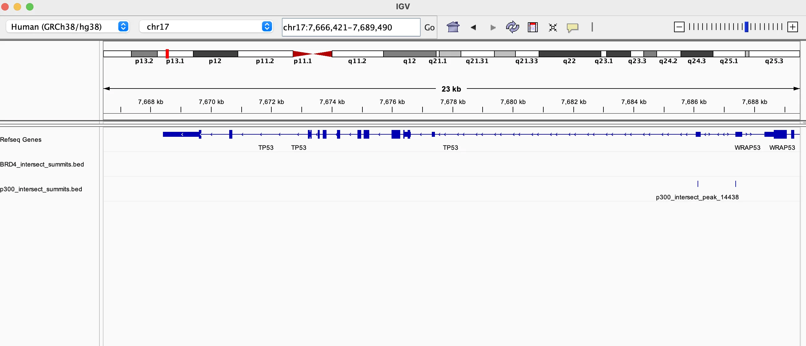 Chip-seq上游分析流程学习(四)_computematrix reference-point-CSDN博客
