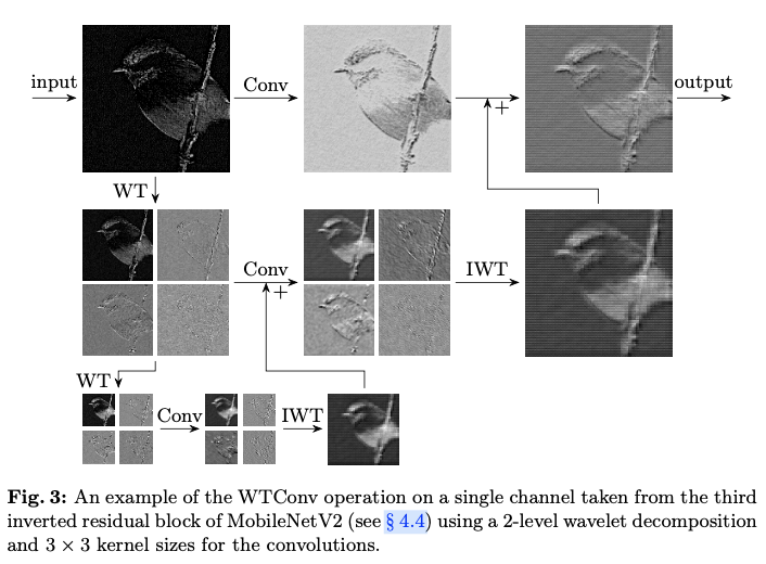 WTConv：小参数大感受野，基于小波变换的新型卷积 | ECCV'24-CSDN博客