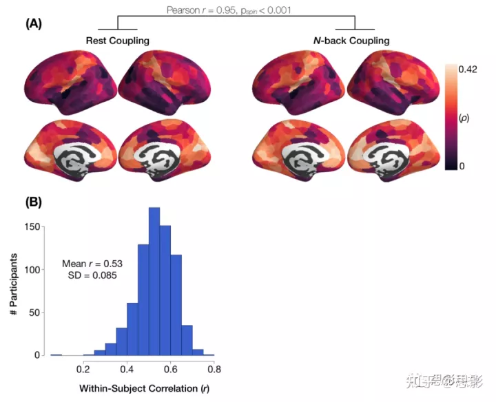 PNAS：青年时期人脑网络结构-功能耦合的发展_大脑coupling-CSDN博客
