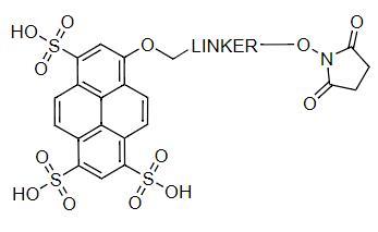 AF 405 Succinimidyl Ester，Alexa Fluor 405 NHS Ester，一种中等亮度的蓝色荧光染料_alexa ...