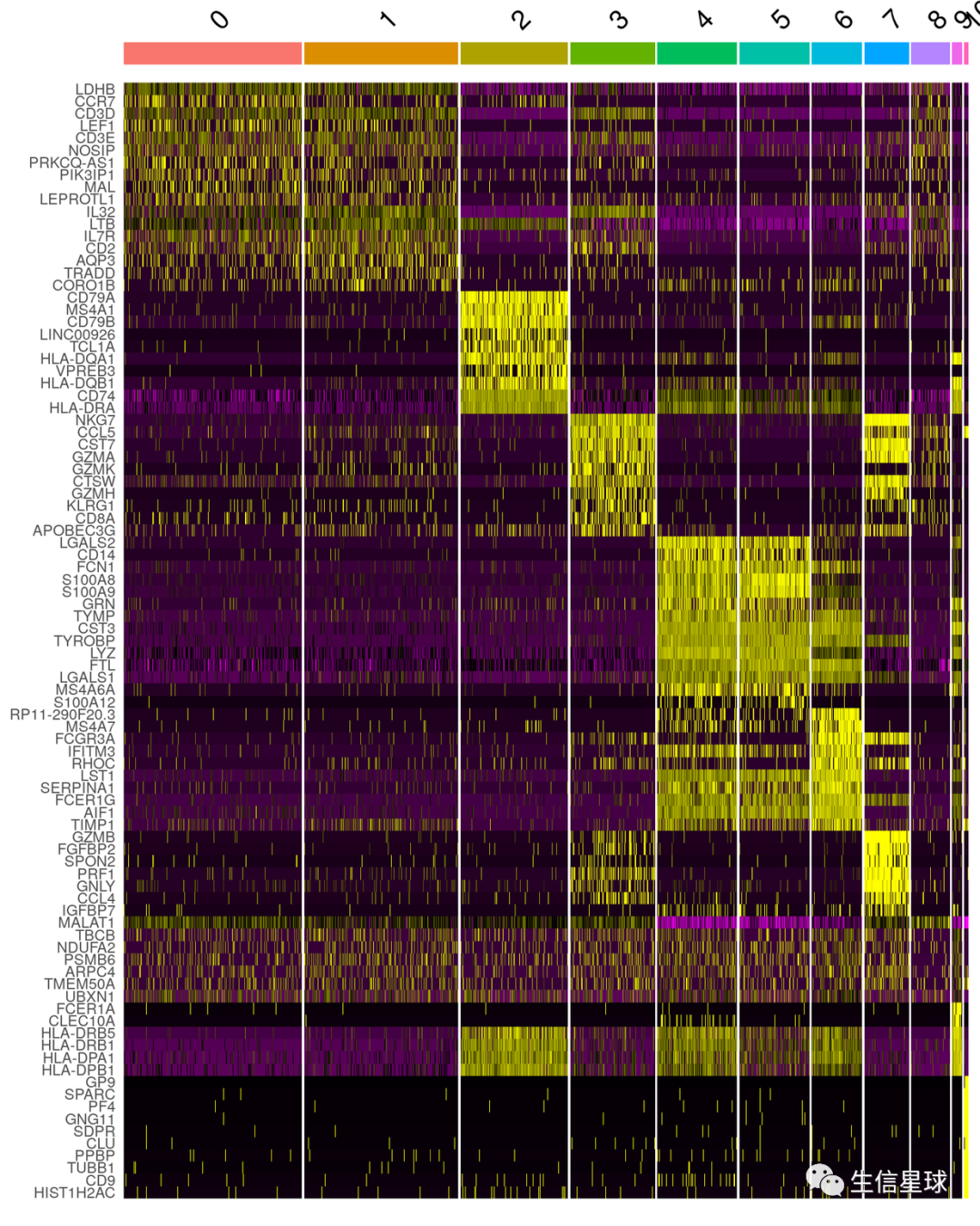 seurat提取表达矩阵_单细胞下游分析入门seurat_一点点可爱的博客-CSDN博客