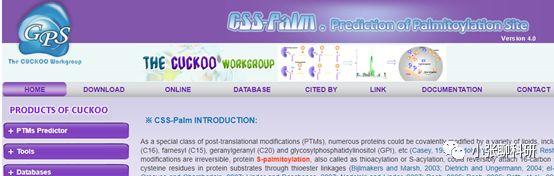 css-palm,CSS-Palm简介:强大的生物信息学网站_超12345的博客-CSDN博客