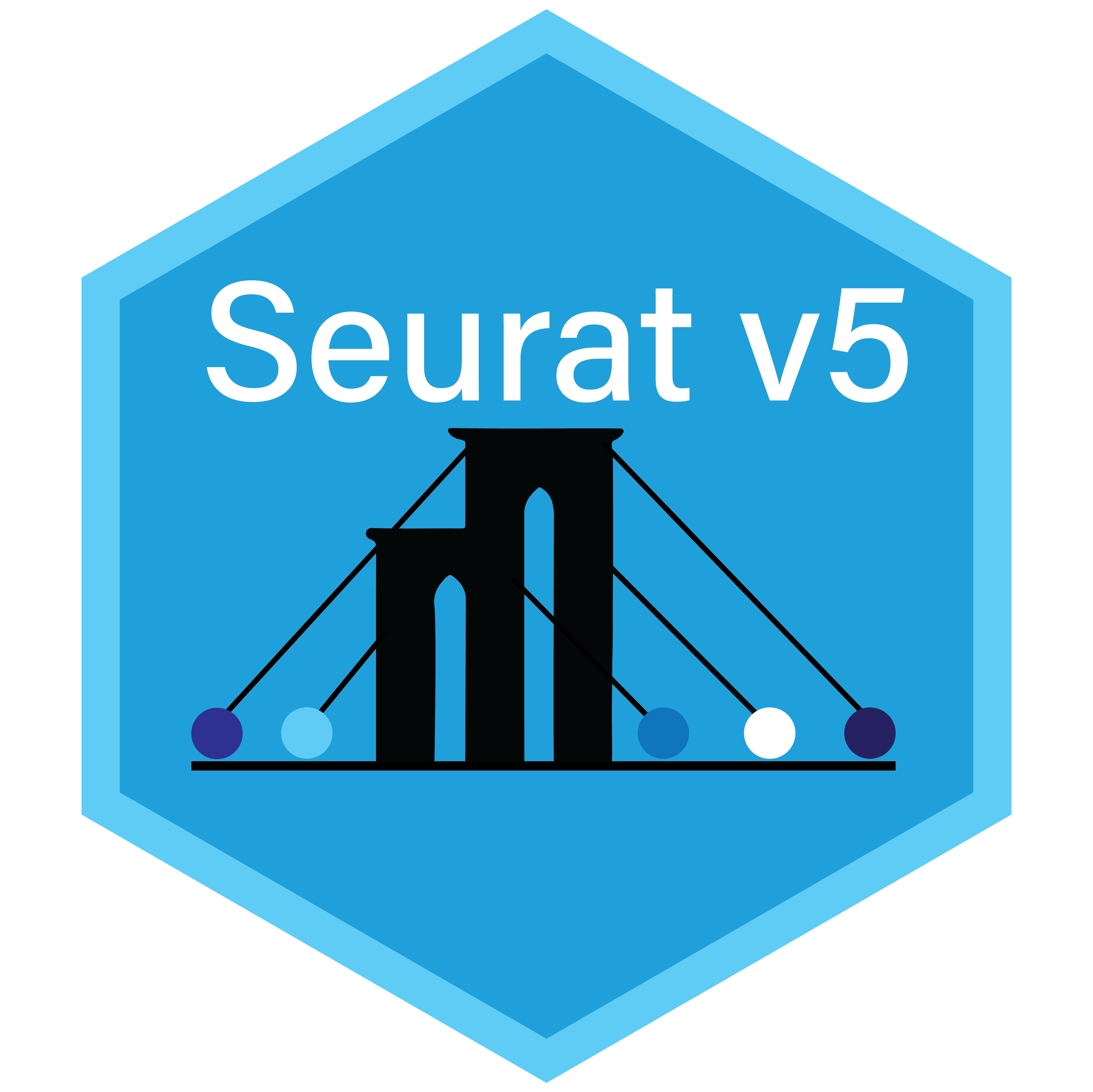 Seurat V5 | 最火的单细胞测序分析工具重磅更新啦！~_seurat5-CSDN博客