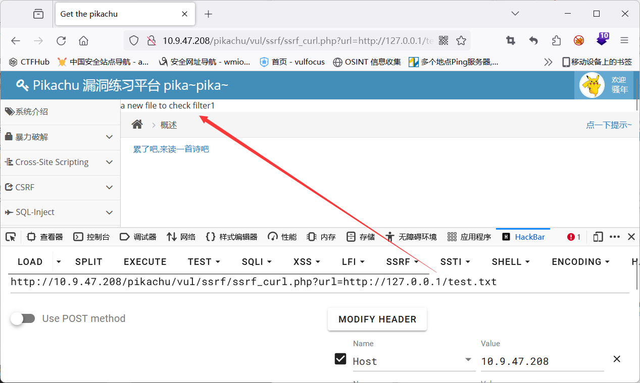 对 pikachu SSRF 靶场进行黑白名单加固_pikachu靶场 安全加固-CSDN博客