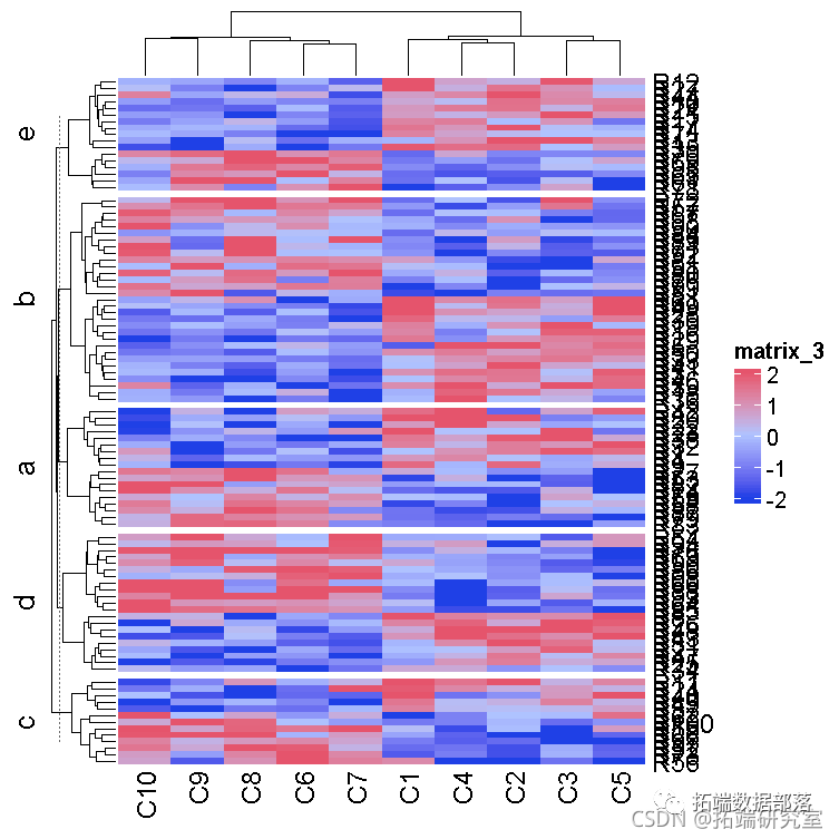 R语言绘制圈图、环形热图可视化基因组实战：展示基因数据比较-CSDN博客