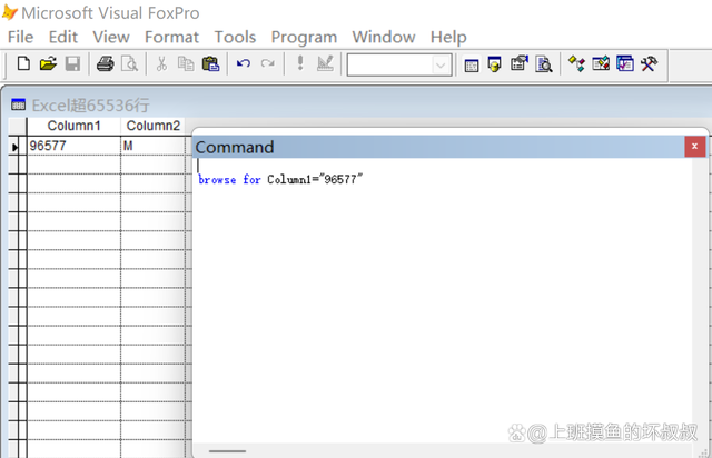 超过65536行的数据导入Vfp9、导出至Excel-CSDN博客