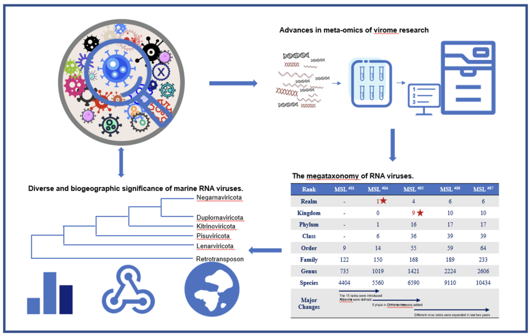 iMeta | 中科院上海巴斯德所崔杰组综述海洋RNA病毒圈的二十年研究-CSDN博客