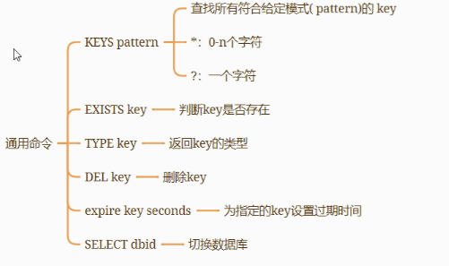 Redis常用命令 Csdn博客