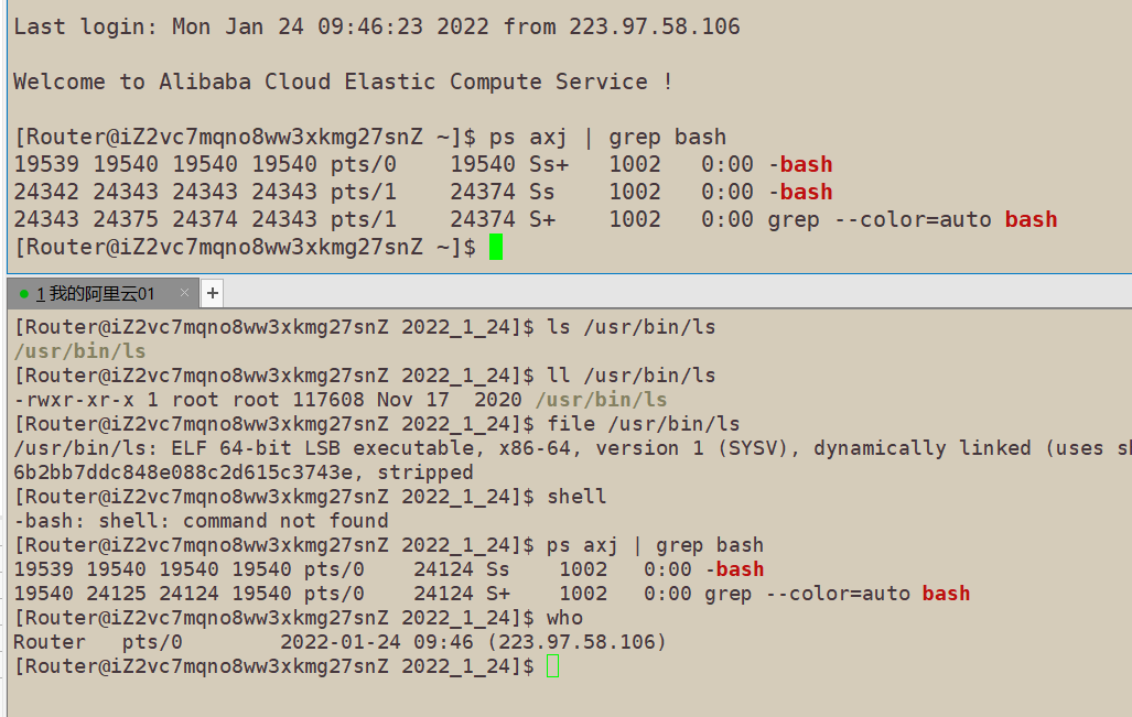 Linux学习笔记3—Linux权限的初步认识(rwx、sudo、粘滞位、umask)_rwx umask-CSDN博客