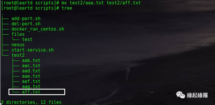 Linux将文件txt重命名为baklinux命令每日一篇之文件操作（三） Csdn博客