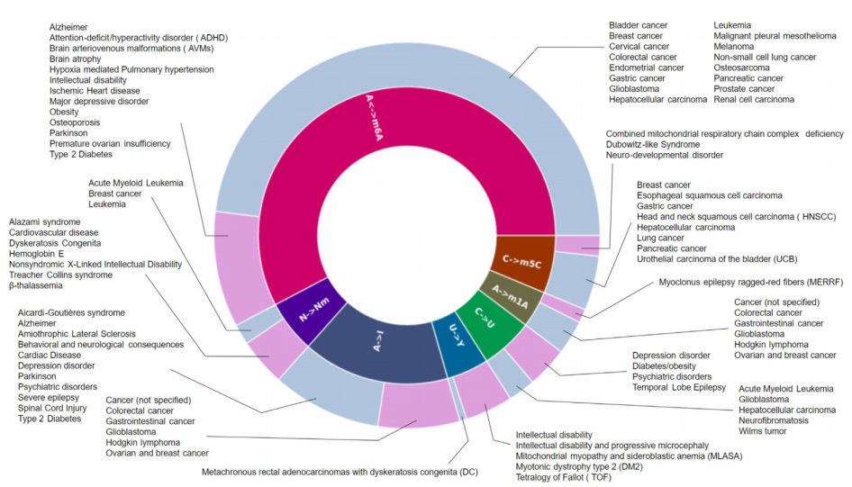 MODOMICS：RNA 修饰途径数据库_mrna修饰数据库-CSDN博客