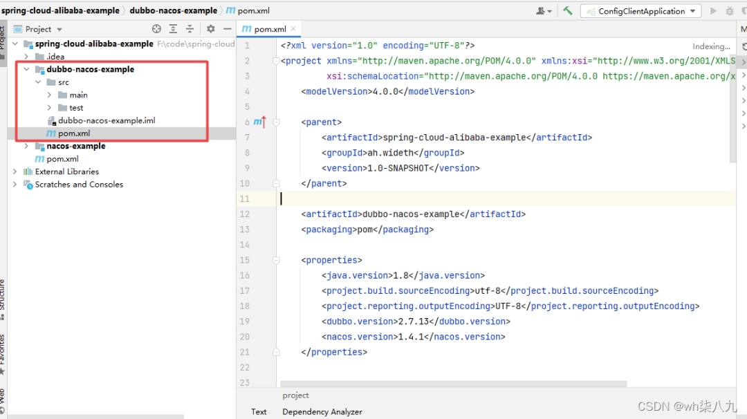 SpringBoot+Dubbo+Nacos 开发实战教程_dubbo nacos-CSDN博客