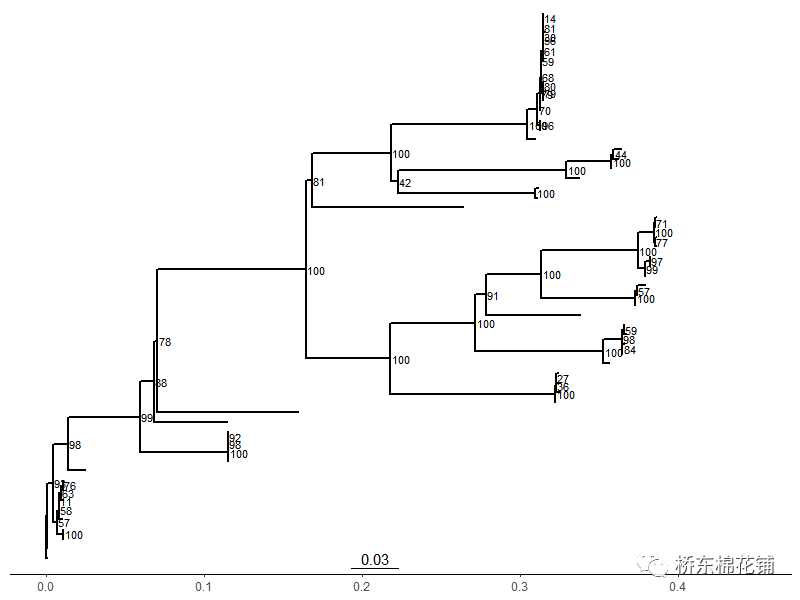 figtree如何编辑进化树_进化树的注释：ggtree-CSDN博客