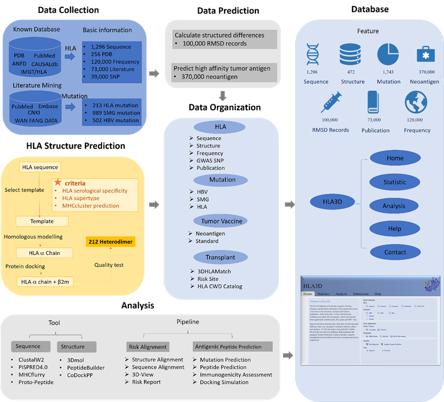 国家级生物医药公共服务平台发布HLA3D数据库，技术架构分享_中国hla数据库-CSDN博客