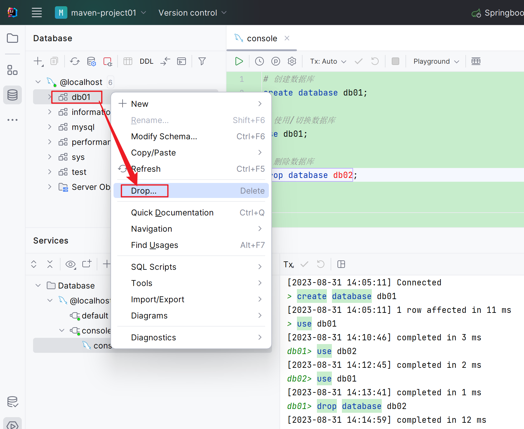 Idea集成的datagrip使用教程 Csdn博客