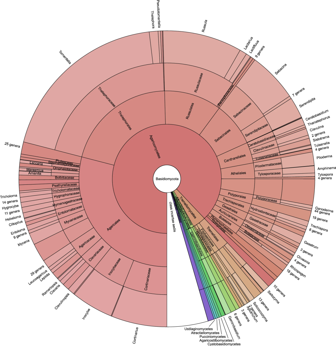 Fungal Diversity | 全球土壤真菌群落联合数据集-CSDN博客