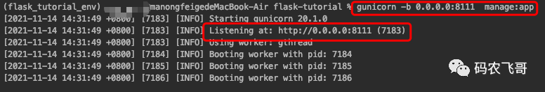 Gunicorn的使用手册看这篇就够了_gunicorn worker设置-CSDN博客