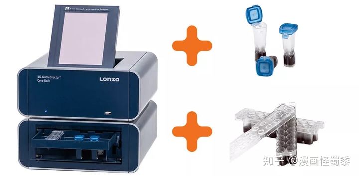LONZA Nucleofector细胞核转染解决方案_lonza电穿孔方案-CSDN博客