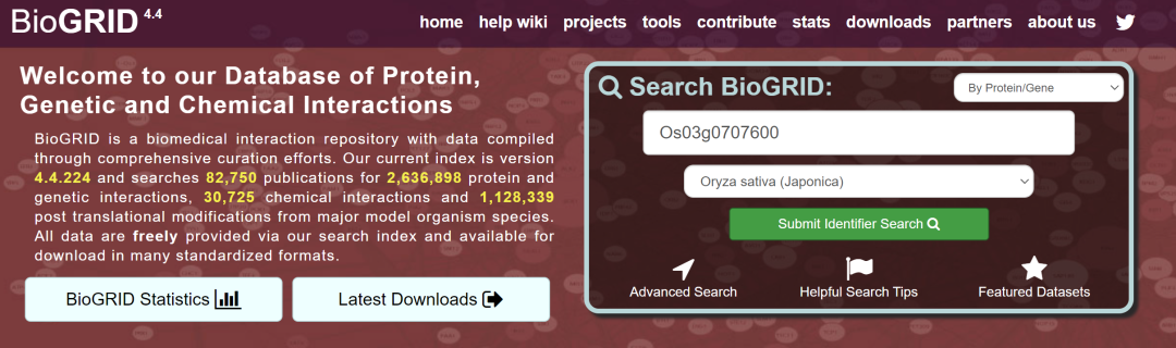 生物博士互作蛋白研究收藏网站汇总_biogrid是一个生物医学交互存储库-CSDN博客