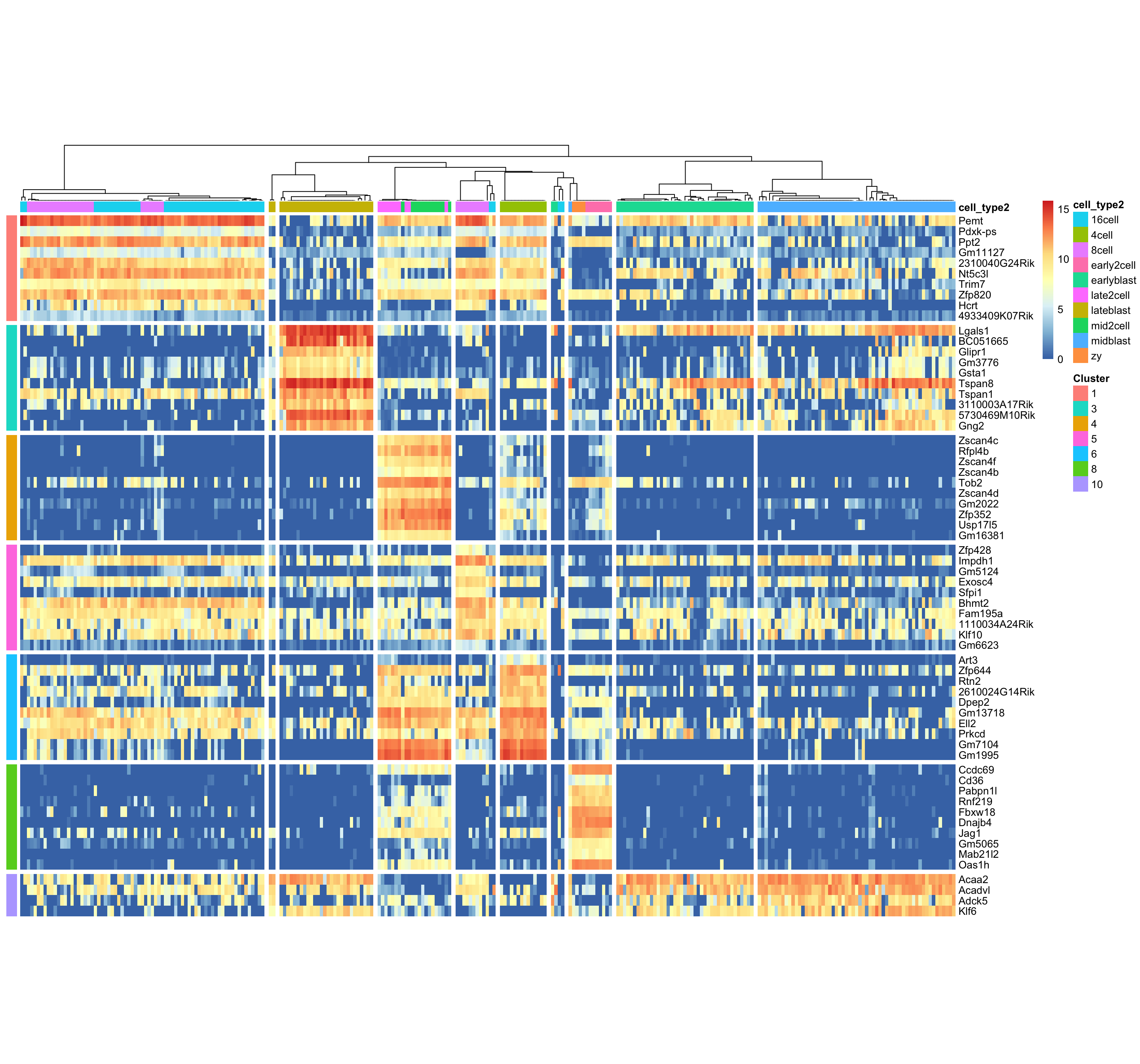 scRNA-seq | 吐血整理的单细胞入门教程（共识聚类）（十二）_共识聚类分析-CSDN博客