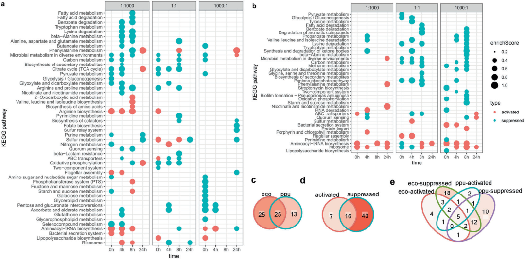 ISME Commun: 华中农业大学在菌群收敛机制方面取得新进展-CSDN博客