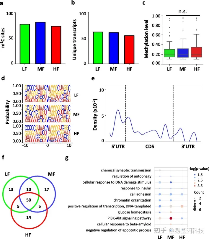 易基因：RNA-BS揭示叶酸调控神经干细胞m5C修饰和mRNA翻译机制｜科研速递-CSDN博客
