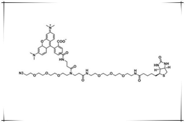 文章解读：1797415-74-7，TAMRA Biotin Azide，，四甲基罗丹明叠氮化物生物素，常见使用说明_罗丹明 生物素 叠氮化物标签-CSDN博客