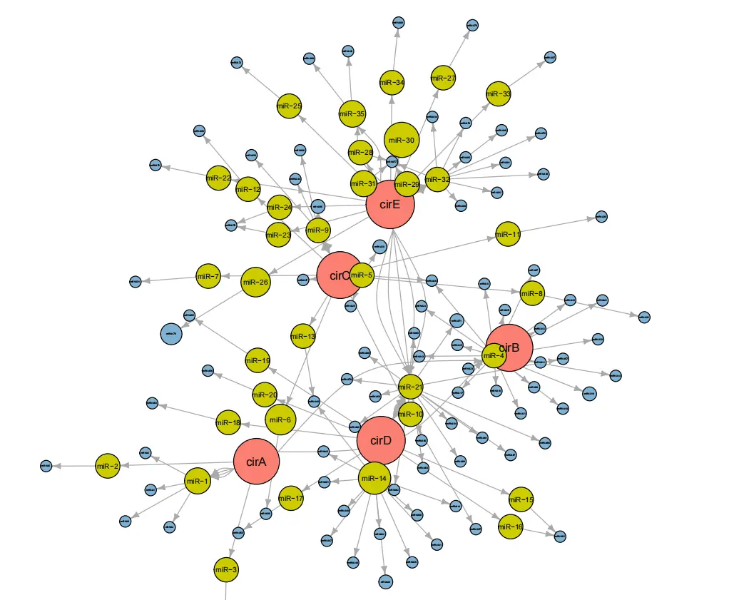 使用R语言构建ceRNA网络（circRNA-miRNA-mRNA）-CSDN博客