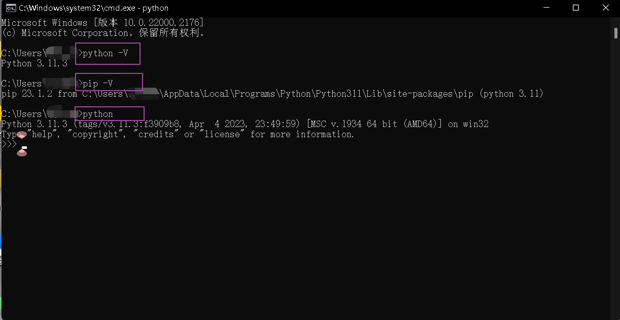 python的安装与环境配置_python安装和环境配置-CSDN博客