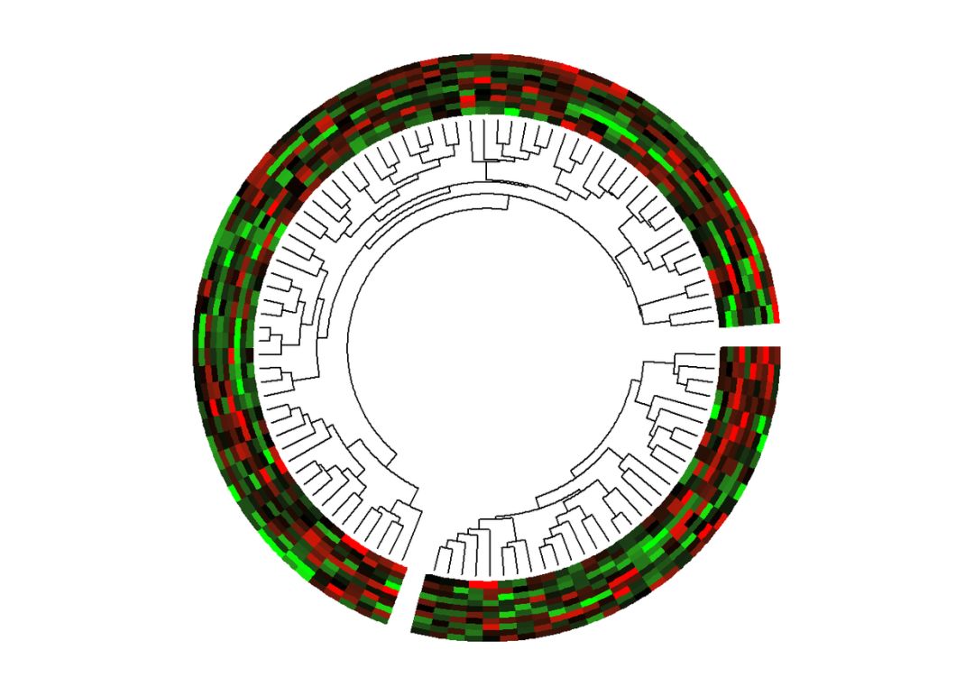用circlize包绘制circos-plot-CSDN博客