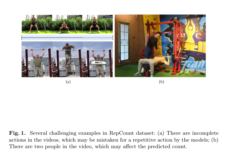 重复动作计数：Full Resolution Repetition Counting-CSDN博客