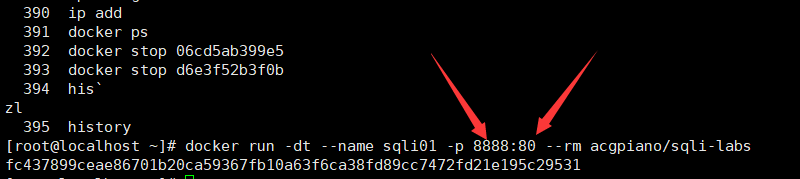 docker部署常见的SQL注入靶场_docker环境下部署靶场项目并实现注入-CSDN博客