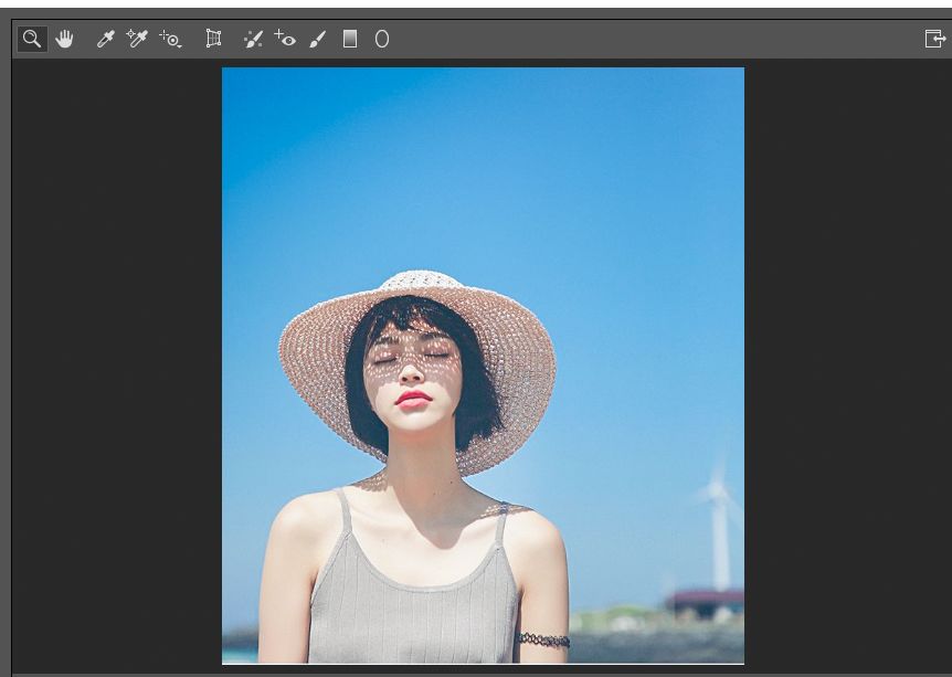 camera raw 滤镜预设_camera Raw滤镜预设的置入方法_weixin_39926678的博客-CSDN博客