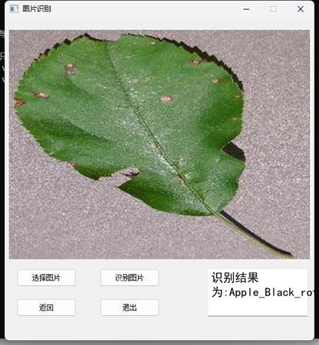 通过python-CNN-pytorch训练识别苹果树叶病害识别-含数据集-含数据集+pyqt界面-CSDN博客
