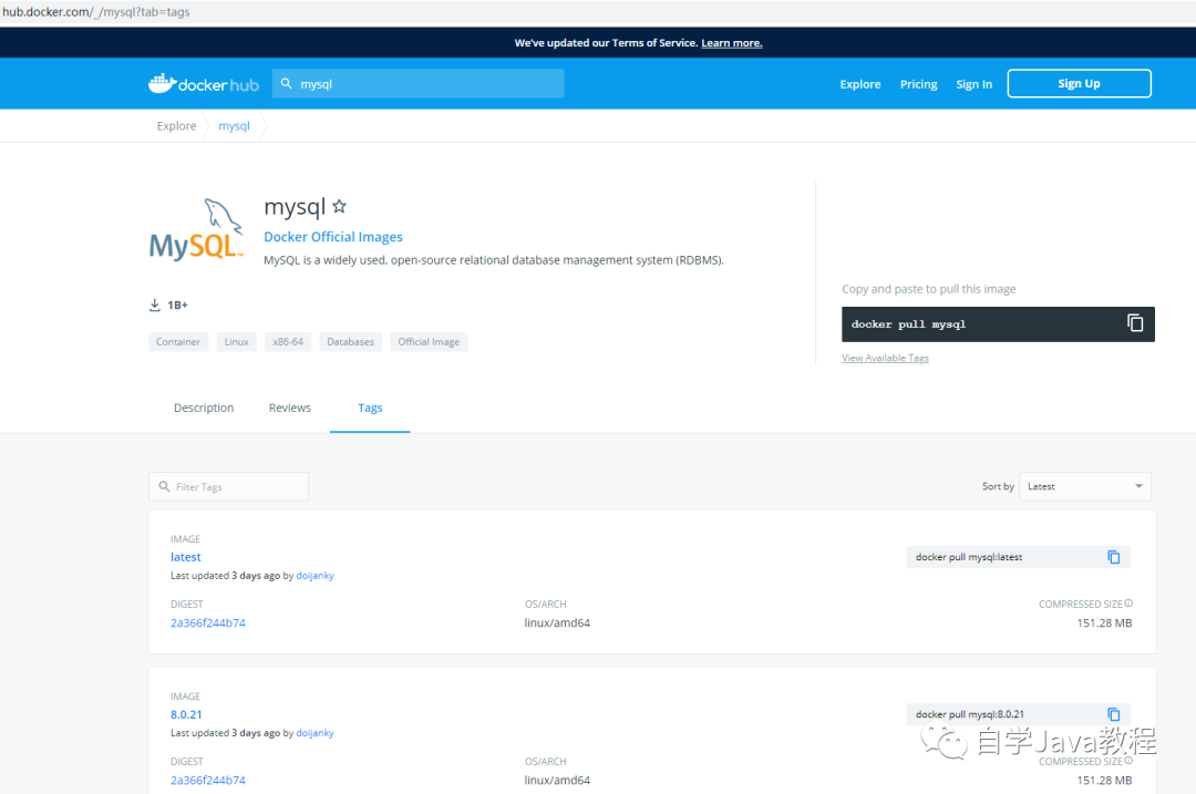 Bash Mysql 未找到命令 如何使用docker安装mysql Csdn博客
