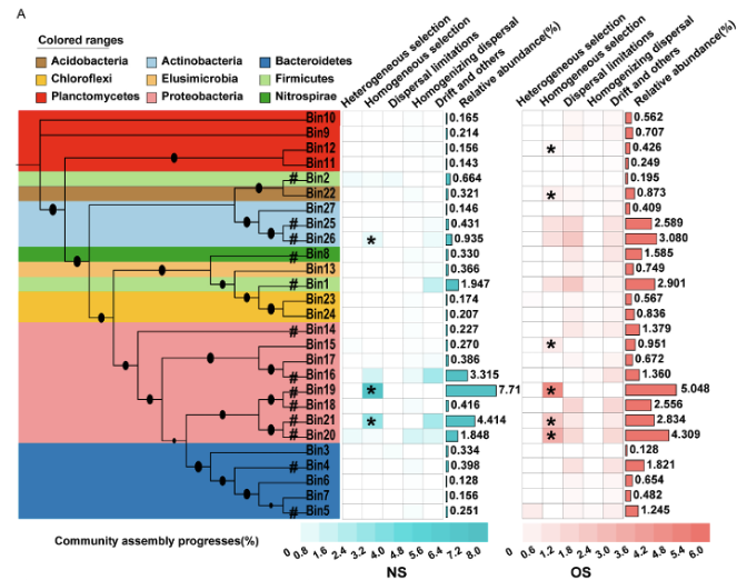 使用iTOLkit学群落组装机制（iCAMP）可视化-CSDN博客