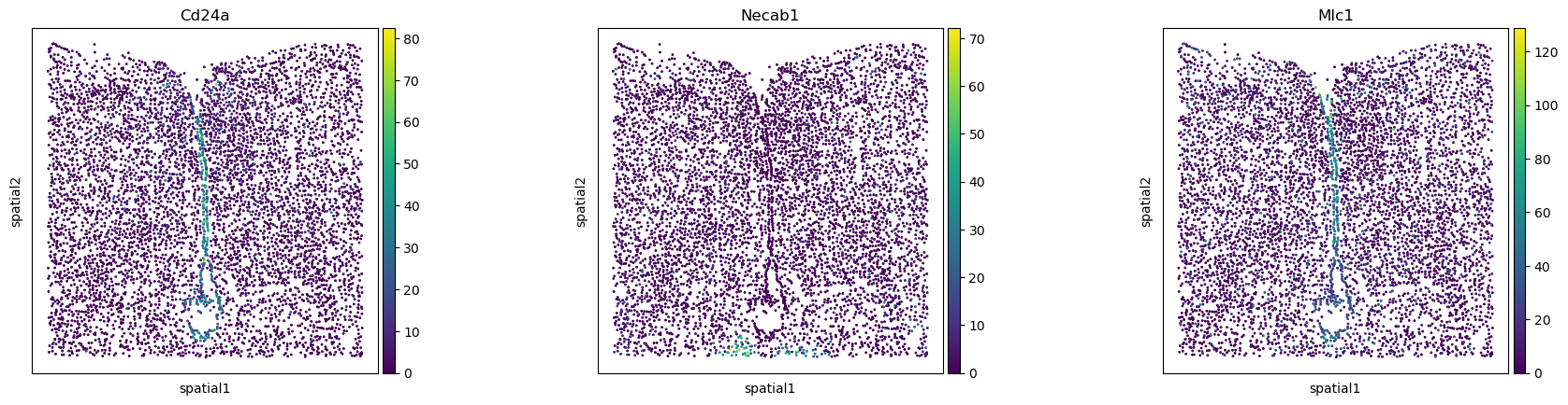 squidpy 教程 4：分析 Merfish 数据_merfish数据分析流程-CSDN博客