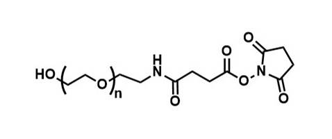 SAS-PEG-OH，羟基PEG酰胺琥珀酰亚胺丁二酸酯，HO-PEG-SAS_sas与oh反应琥珀酸琥珀酰亚胺酯-CSDN博客