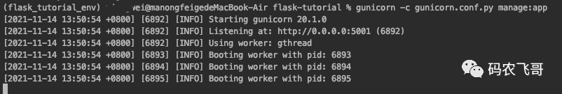 Gunicorn的使用手册看这篇就够了_gunicorn worker设置-CSDN博客