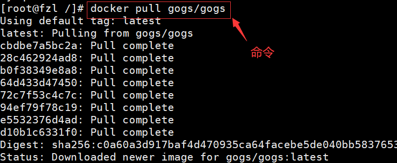 Ubuntu 20.04 安装及 Docker Gogs 安装部署_ubuntu docker gogs-CSDN博客