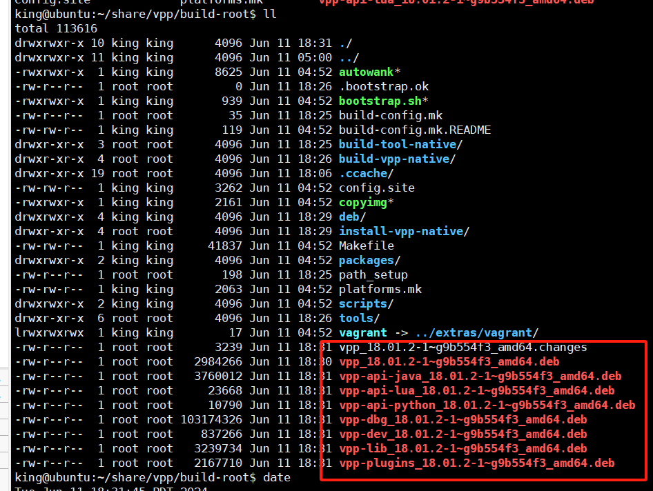 VPP环境部署与VPP命令详解-CSDN博客