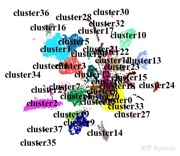 seurat提取表达矩阵_（单细胞-SingleCell）Scanpy流程——python 实现单细胞 Seurat 流程..._赵北云的博客-CSDN博客