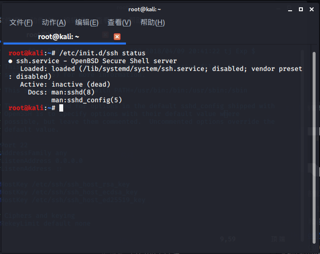 kali linux 的ssh服务器,Kali Linux 开启 SSH 服务方法教程详解-CSDN博客