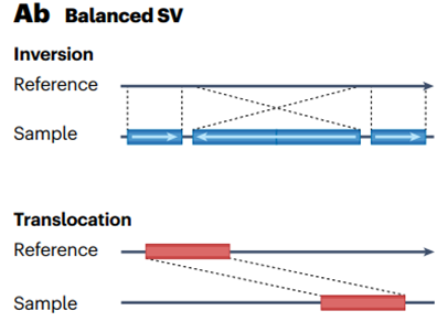 nature reviews genetics | 填补SNP研究空白，CNV-GWAS推动遗传变异全景构建_genome-wide ...