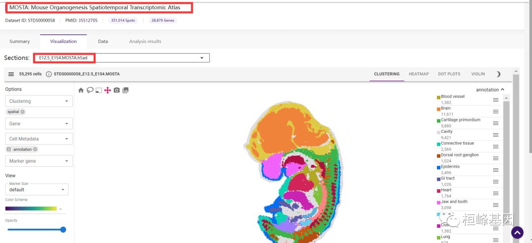 SCS【30】单细胞空间转录组学数据库(STOmics DB)-CSDN博客